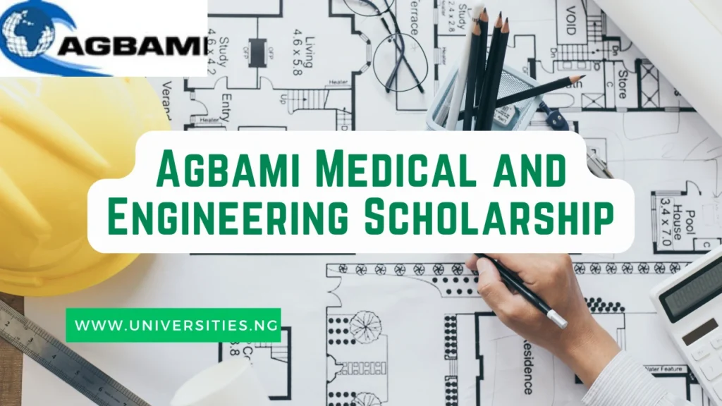 Agbami Medical and Engineering Scholarship 2025/2026: How to Apply and ...
